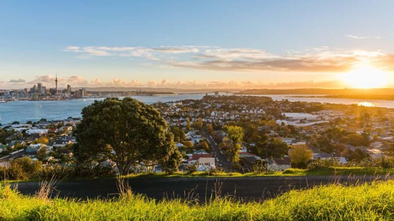 Auckland: Private City Tour with Mount Victoria and Mt. Eden - Key Points