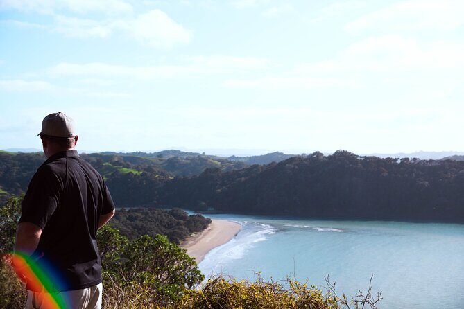 Auckland Private Custom Journeys in Luxury - Authentic Feedback and Real-World Value