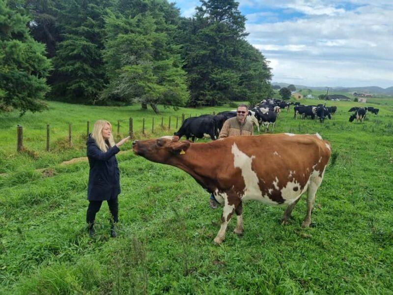 Auckland: Private Farm Tour with Sheep Shearing & Lunch - A Private, Personalized Experience