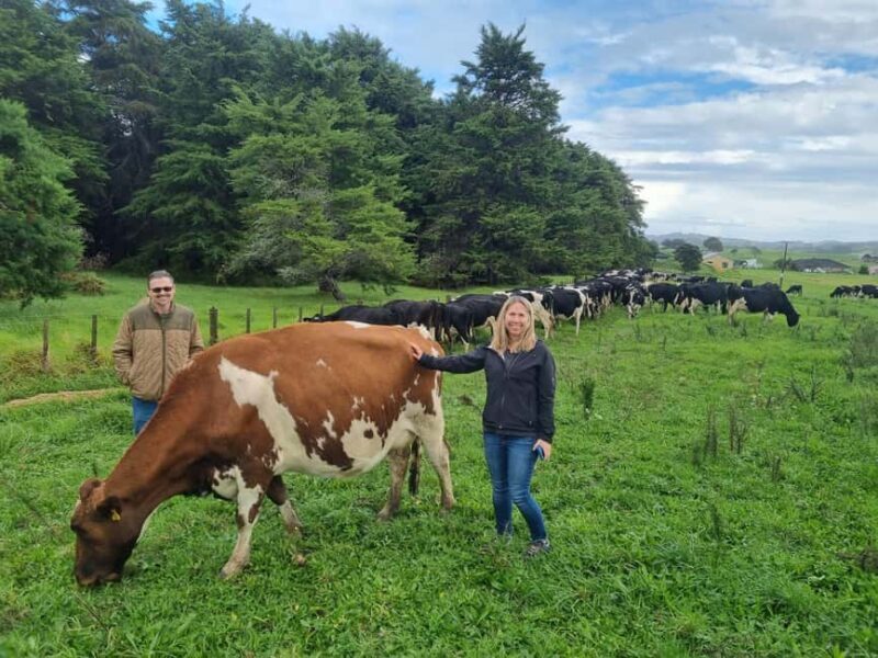 Auckland: Private Farm Tour with Sheep Shearing & Lunch - Pickup & Scenic Drive