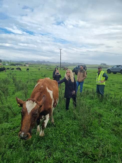 Auckland: Private Farm Tour with Sheep Shearing & Lunch - Farm Visit & Animal Interaction