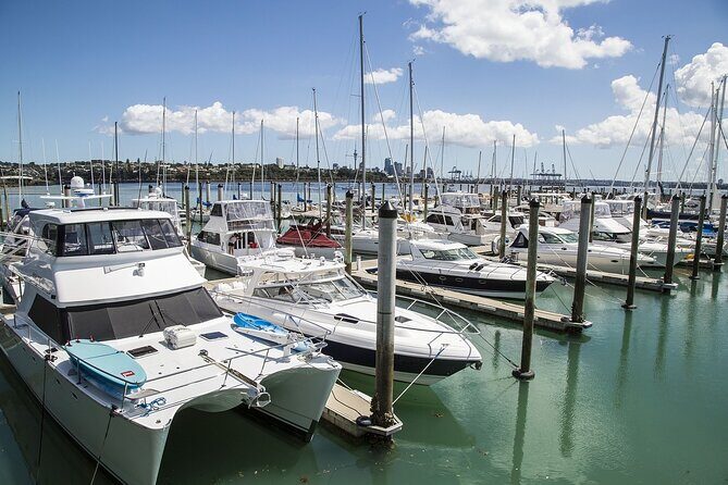 Auckland Private Full Day Attractions Tour & Museums - An In-Depth Look at the Itinerary