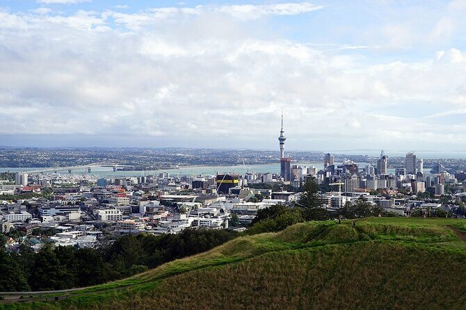 Auckland Private Full Day Attractions Tour & Museums - Final Thoughts: Is This Tour Worth It?