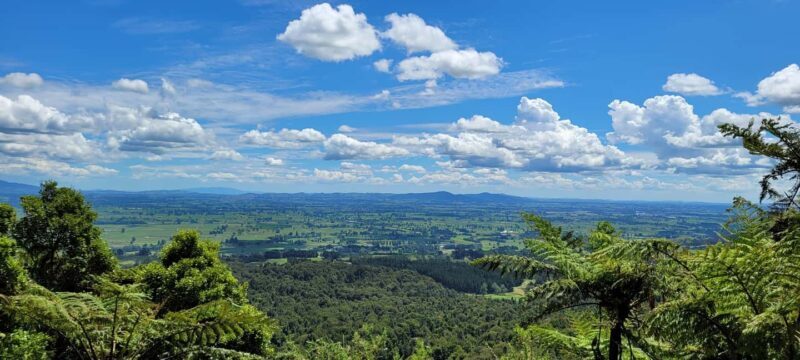 AUCKLAND: PRIVATE Journey with Guide to Hobbiton Movie Set - Key Points