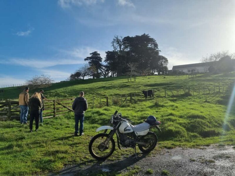 Auckland: Private Sheep & Beef Working Farm Tour - Practical Details