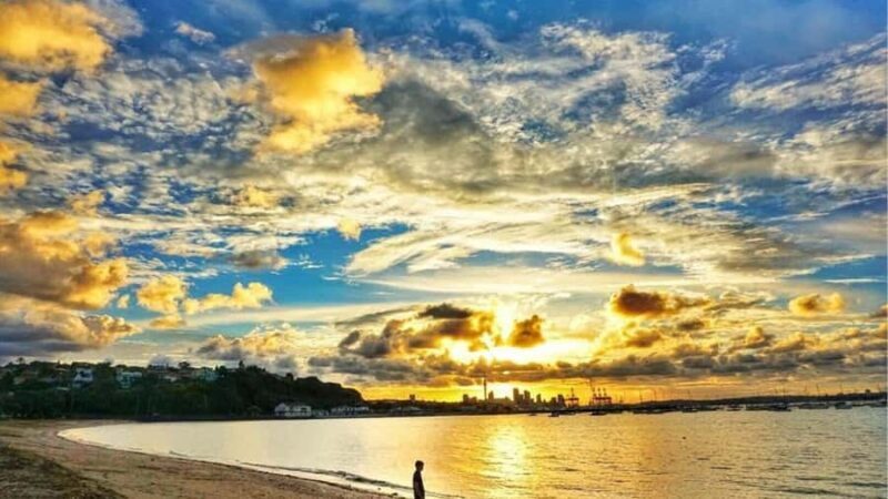 Auckland: Private Sightseeing Full or Half Day Guided Tour - Overview of What to Expect