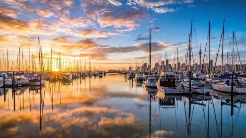 Auckland: Private Sightseeing Full or Half Day Guided Tour - The Guide Experience