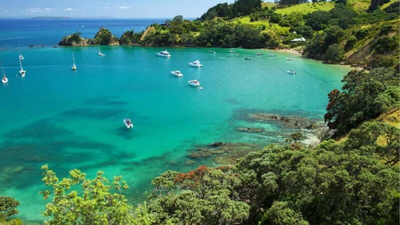 Auckland: Private Sightseeing Full or Half Day Guided Tour - The Sum Up