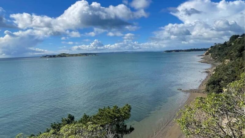 Auckland: Private Sightseeing Full or Half Day Guided Tour - Frequently Asked Questions