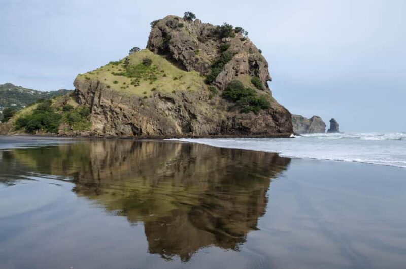 Auckland Private Tour: West Coast Wilderness & Piha Beach - Optional Stop: Mercer Bay Loop