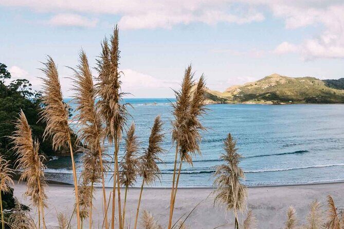 Auckland Region | Multi Island Hopper Package Tour - Key Points