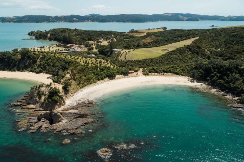 Auckland: Rotoroa Island and Man O'War Vineyard Combo Tour - An In-Depth Look at the Experience