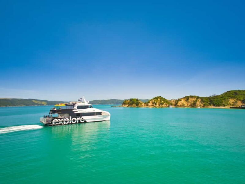 Auckland: Rotoroa Island and Man O'War Vineyard Combo Tour - Practical Details and Tips