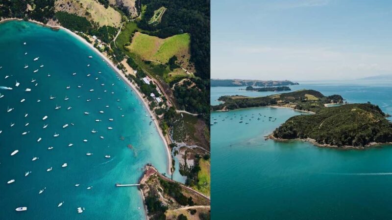 Auckland: Rotoroa Island and Man O'War Vineyard Combo Tour - Who This Tour Is Best For
