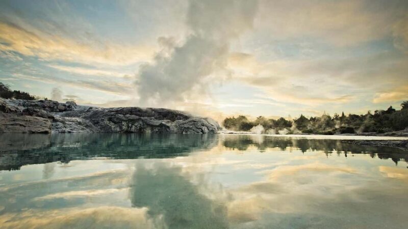 Auckland: Rotorua Highlights inc Te Puia Tour & Redwoods - Who Will Love This Tour?