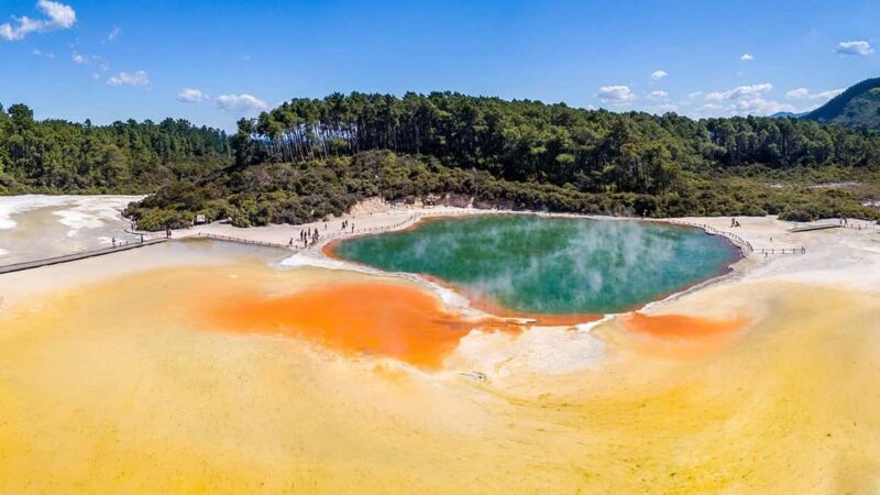 Auckland: Rotorua Highlights inc Wai O Tapu & Te Puia Tour - Returning to Auckland with Secret Stops