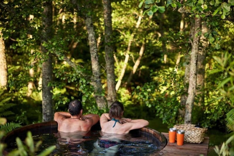 Auckland: Rotorua Highlights w Redwoods Treewalk & Hot Tubs - Who Is This Tour Best For?