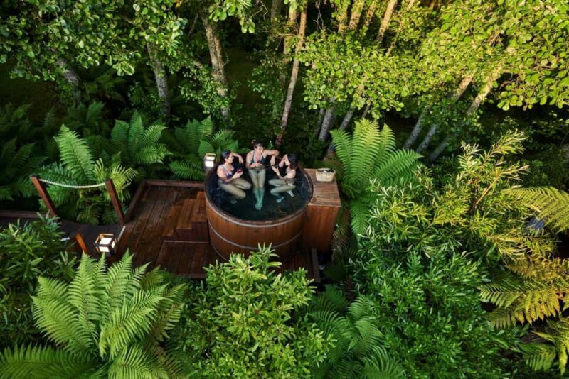 Auckland: Rotorua Highlights w Redwoods Treewalk & Hot Tubs - The Sum Up
