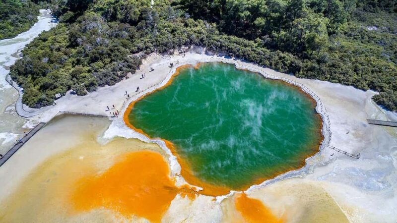 Auckland: Rotorua Highlights w WaiOTapu & Redwoods Treewalk - The Itinerary in Detail