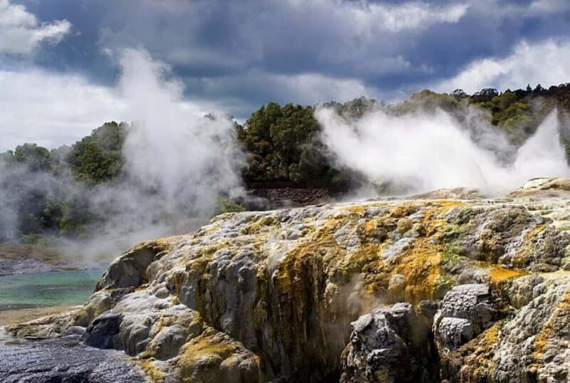 Auckland: Rotorua Living Maori Village Tour w/ Haka & Lunch - Introduction