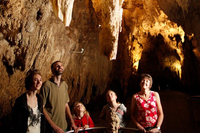 Auckland: Rotorua Mori Village w Haka & Waitomo Caves Day Tour - Is This Tour Right for You?