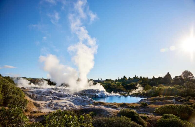 Auckland: Rotorua Mori Village & Waitomo Caves with Lunch - Why Choose This Tour?