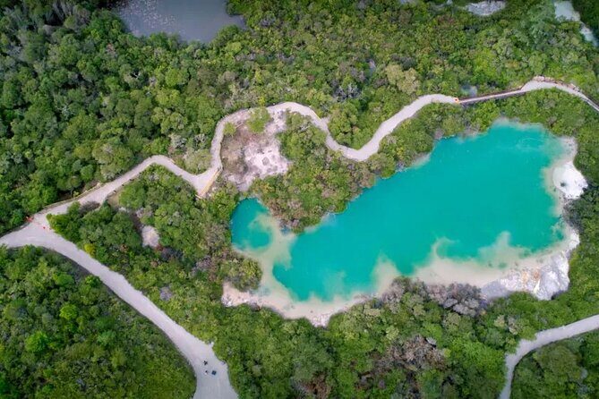 Auckland: Rotorua Te Puia & Maori Village Tour with Haka - The Return Journey: Scenic and Reflective
