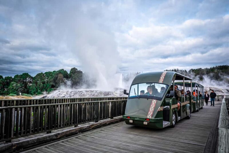 Auckland: Rotorua Wai-O-Tapu, Te Puia with Haka - Details and Practicalities