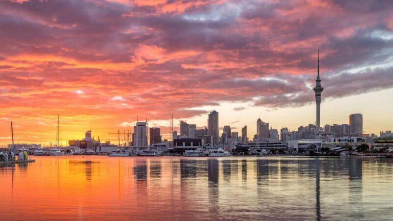Auckland: Scenic City Discovery Half-Day Tour - Achilles Point: A Photographers Delight