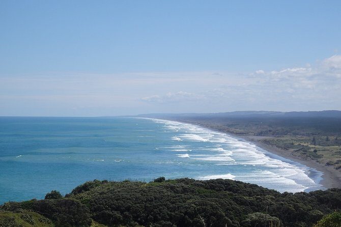 Auckland Scenic Day Tour Full-Day- 8 HOURS - Starting Strong: Pickup and Transportation