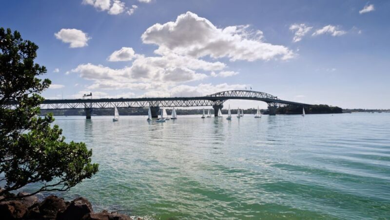 Auckland Scenic Half-Day City Sightseeing Tour - An Introduction to Auckland with a Local Touch