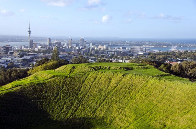 Auckland Scenic Half-Day City Sightseeing Tour - Airy, Well-Organized, and Audience-Friendly