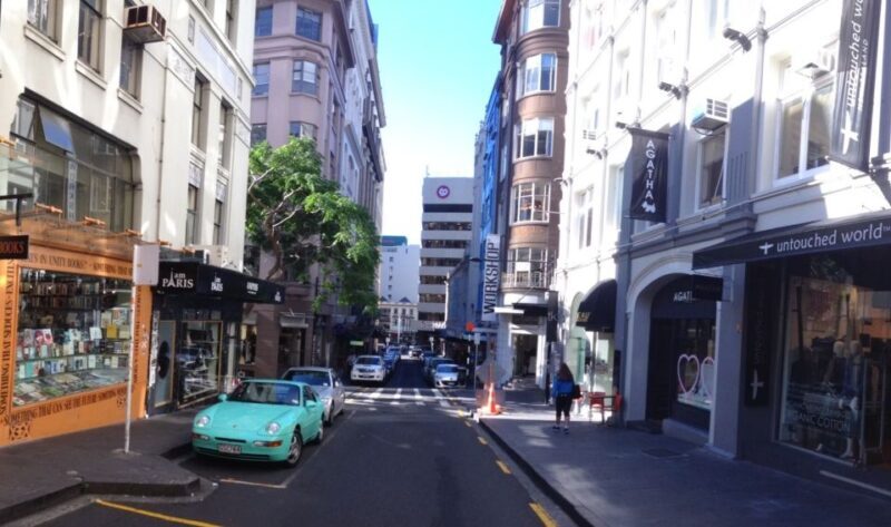 Auckland Scenic Half-Day City Sightseeing Tour - What Could Be Improved?