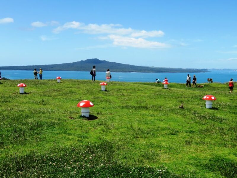 Auckland: Segway Tour to Mount Victoria - What’s Included and Practicalities