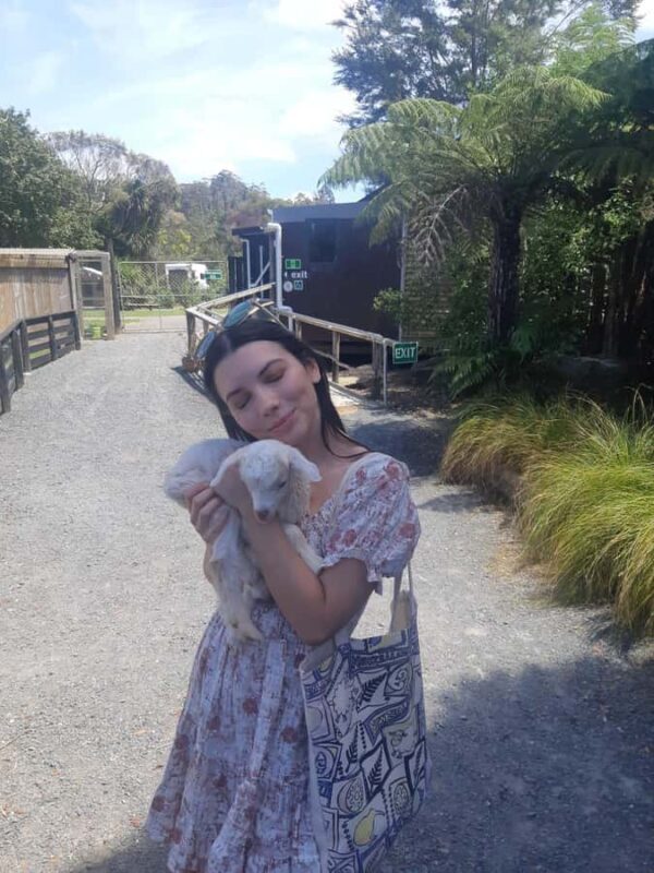 Auckland: Sheepworld, Honey Centre, & Kauri Trail Tour - A Well-Curated Day Out for Curious Travelers