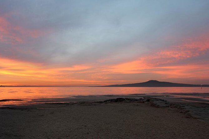 Auckland Sights Exclusive 4 Hour Luxury Day Tour - The Sum Up