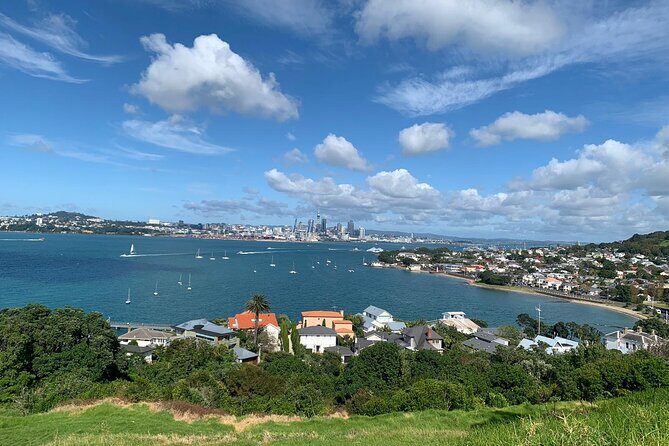 Auckland Sightseeing Half Day Tour - An Overview of the Tour Experience
