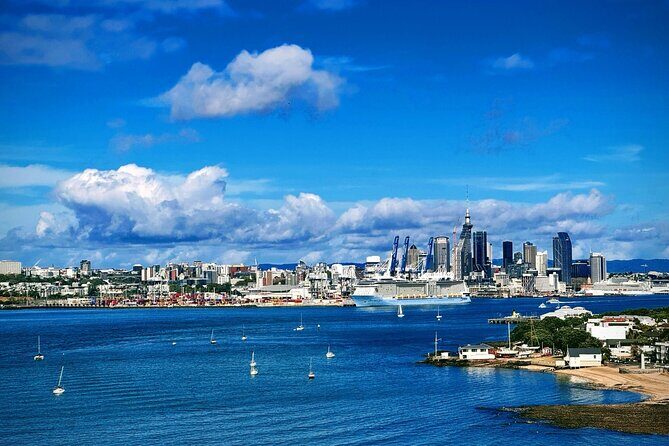 Auckland Sightseeing Half Day Tour - Practical Details & Tips