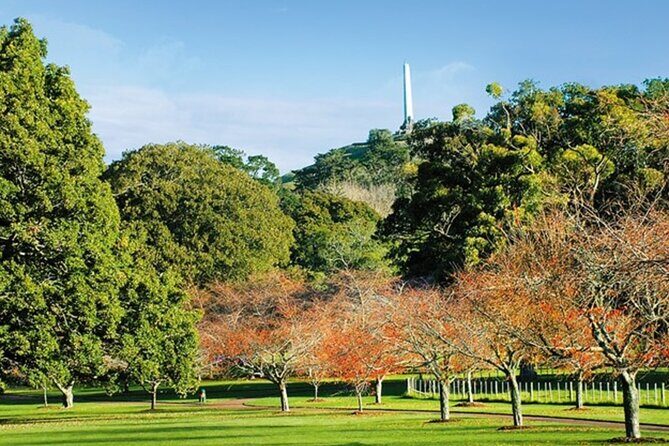 Auckland Sightseeing TourPrivate Full Day/Half Day Driver+Tesla - A Personal, Flexible Approach to Auckland Sightseeing