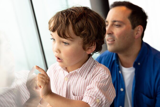 Auckland Sky Tower General Admission Ticket - The Verdict: Is It Worth It?