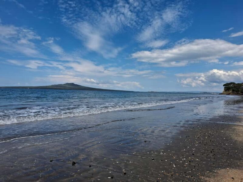 Auckland: Sunday markets & seaside stroll - Who Will Love This Tour?