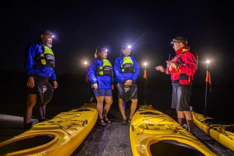 Auckland: Sunset & Night Sea Kayak Tour to Rangitoto Island - An Adventure from Land to Sea and Back