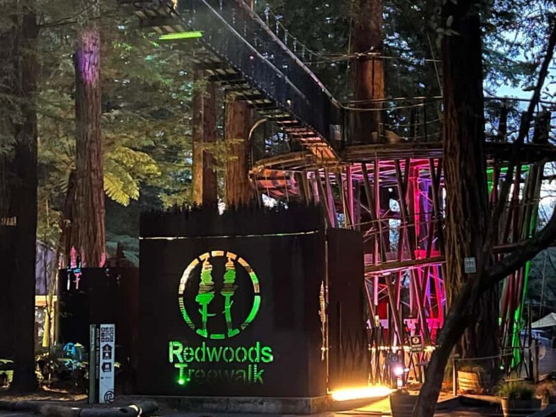 Auckland: TE PUIA Rotorua, Redwood & Blue Springs Day Tour - Final Thoughts: Who Is This Tour Best For?