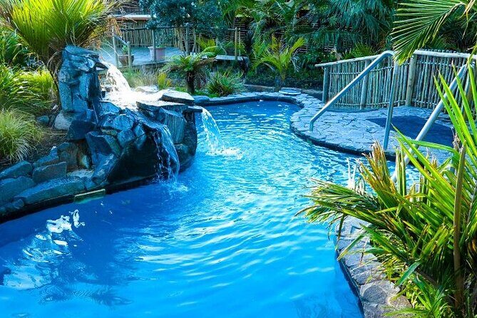 Auckland Thermal Pool and Muriwai Beach Sunset Day tour - A Comprehensive Look at the Auckland Thermal Pool and Muriwai Beach Sunset Tour