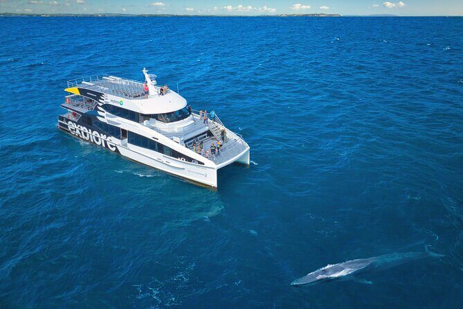 Auckland: Tikapa Moana Dolphin, Whale and Island Cruise - Final Thoughts on Value and Experience