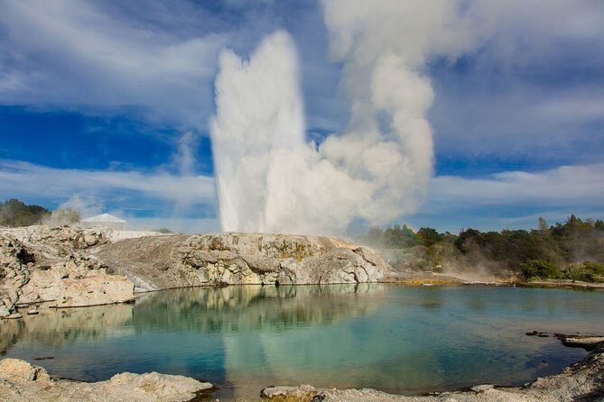 Auckland to Hobbiton Movie Set and Rotorua's Geothermal Valley - Introduction: What’s the Buzz About This Tour?