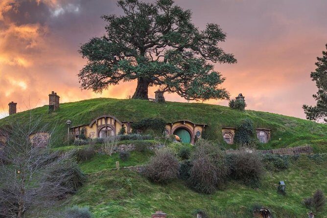 Auckland to Hobbiton Movie Set and Rotorua's Geothermal Valley - Who Should Consider This Tour?