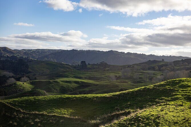 Auckland to Hobbiton Private Tour Shire Movie Set and Waikato - The Itinerary in Detail