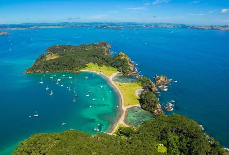 Auckland to Paihia via West Coast Small Group Tour (One Way) - A Deep Dive Into the Tour’s Highlights