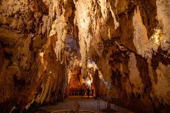 Auckland to Rotorua, Hobbiton and Waitomo 1 Way Small Group Tour - Who This Tour Is Best For